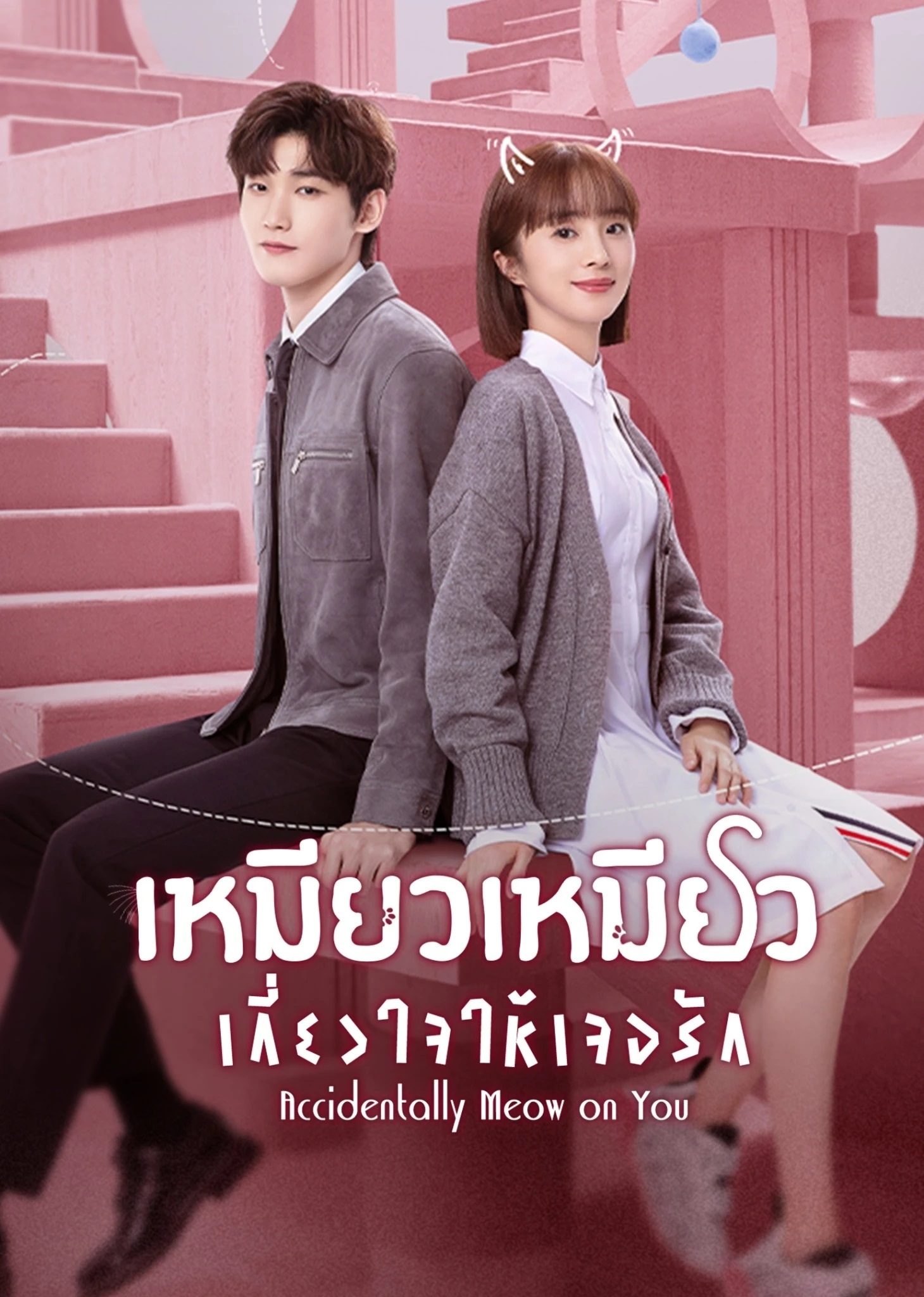 DVD ซีรีย์จีน : Accidentally Meow On You (2022) เหมียวเหมียวเกี่ยวใจให้เจอรัก 4 แผ่นจบ