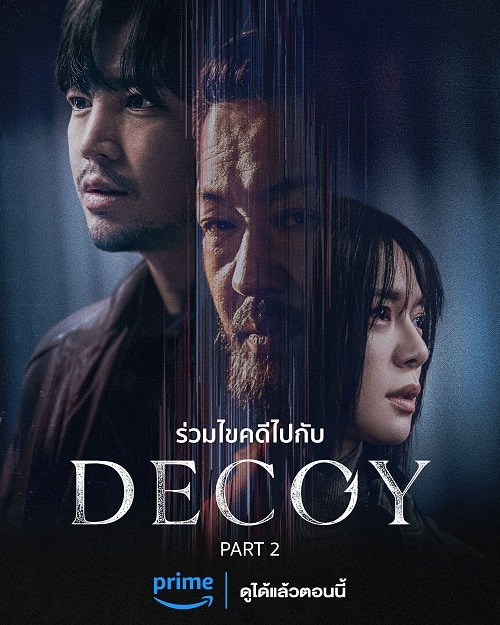 DVD ซีรีย์เกาหลี : Decoy เหยื่อลวง (2023) (จางกึนซอก + ฮอซองแท) 3 แผ่นจบ