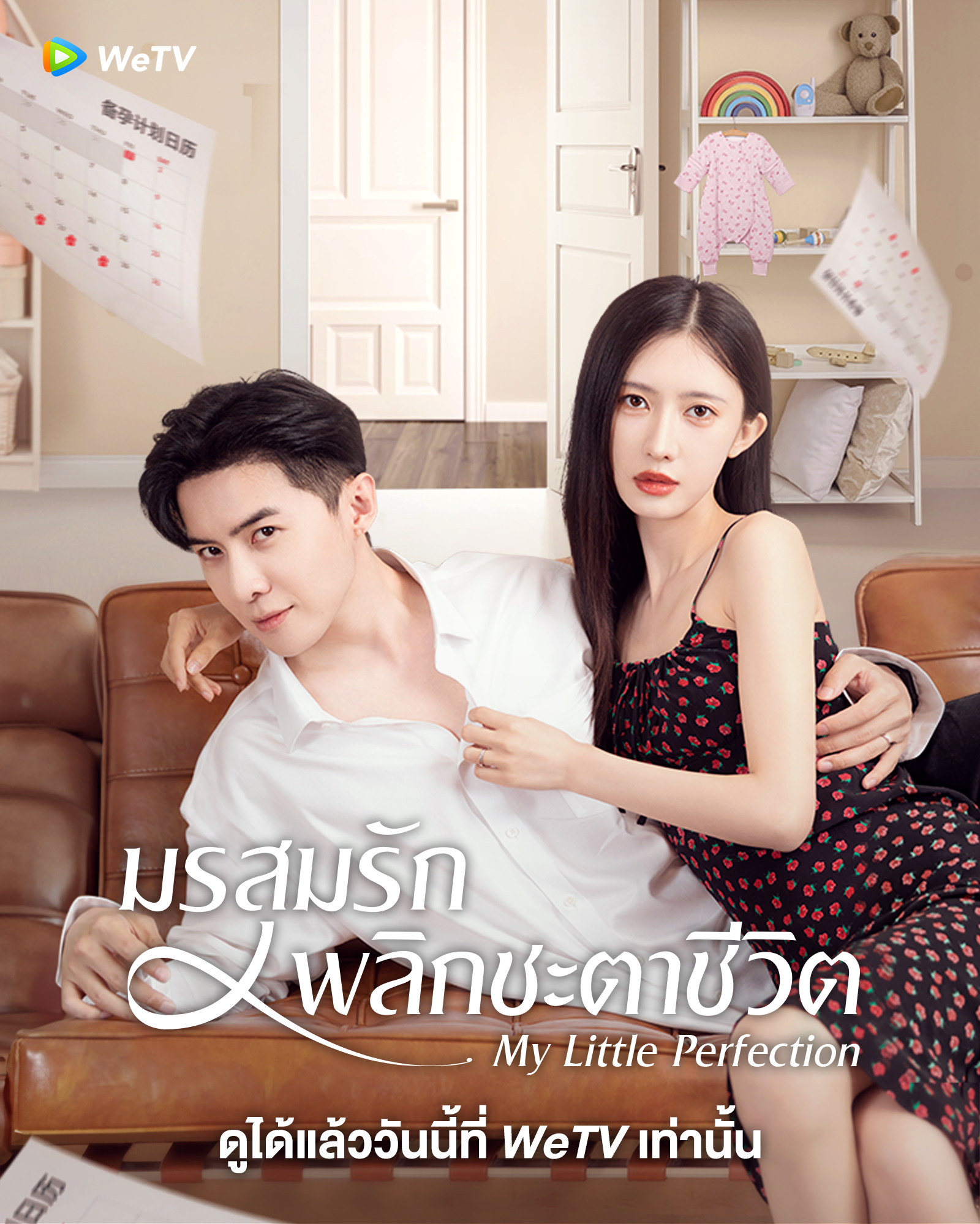 DVD ซีรีย์จีน : My Little Perfection (2024) มรสุมรักพลิกชะตาชีวิต 4 แผ่นจบ